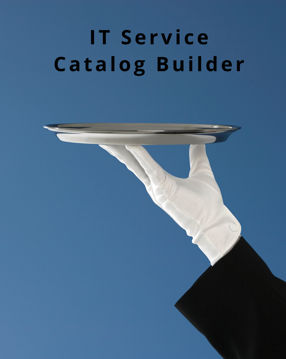 Service Catalog Builder | IT Catalog Builder | The Tech Plans Lab